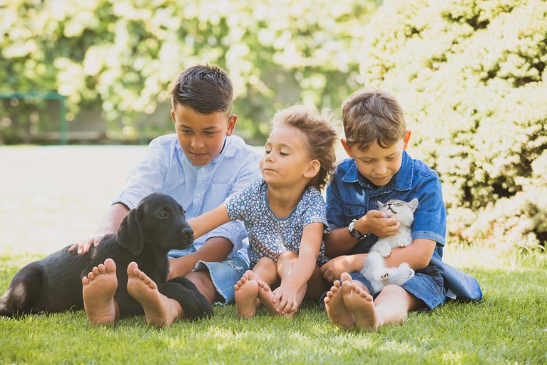Flea Control - Pro Turf and Pro Pest Solutions