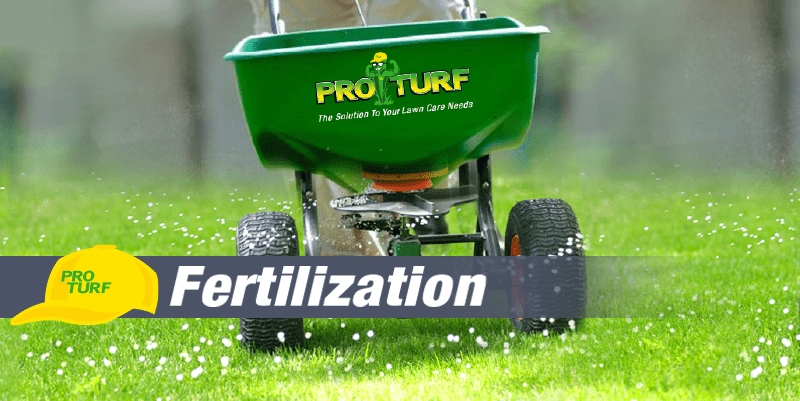 Need Lawn Care? - Pro Turf and Pro Pest Solutions