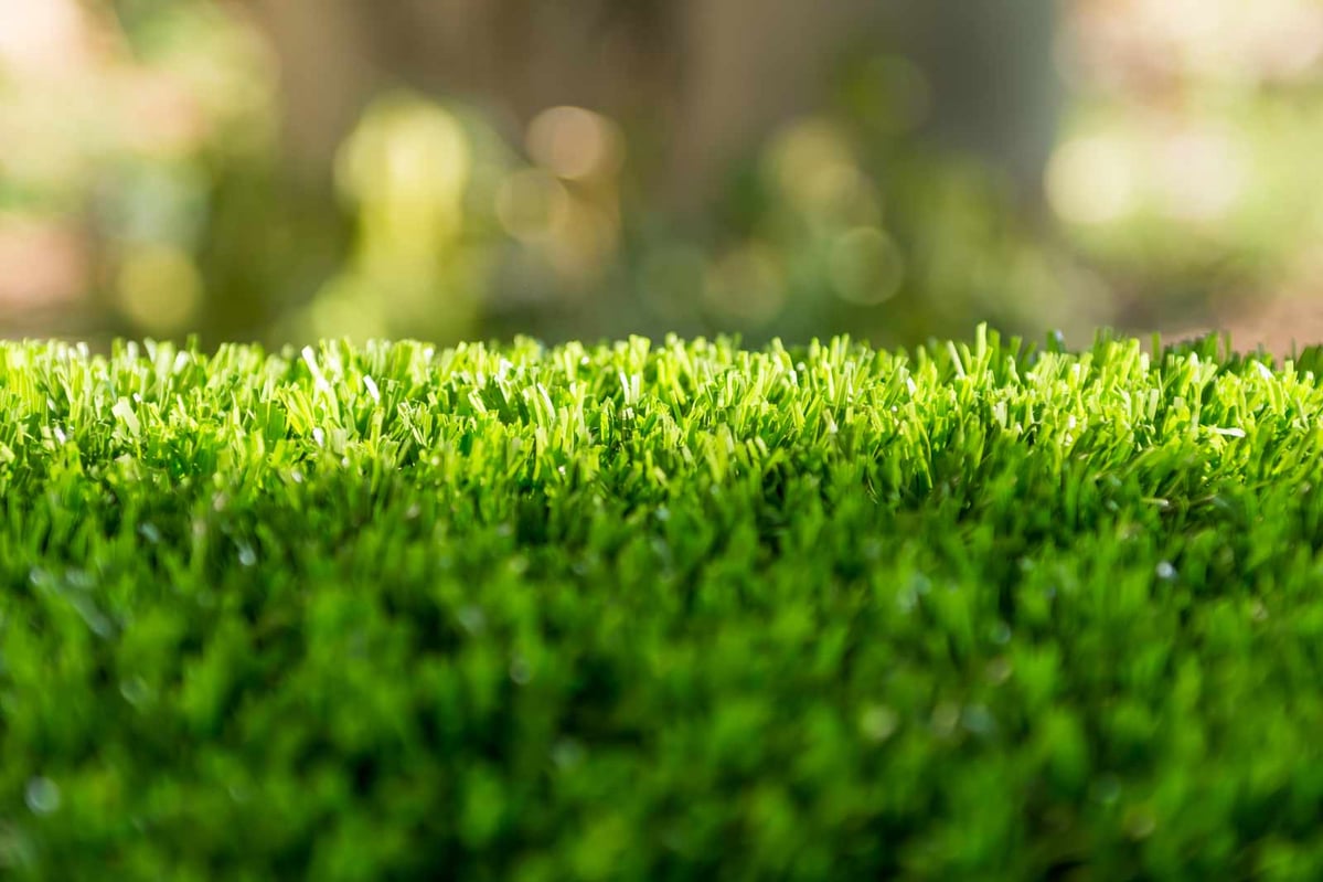 Home Page - Pro Turf and Pro Pest Solutions